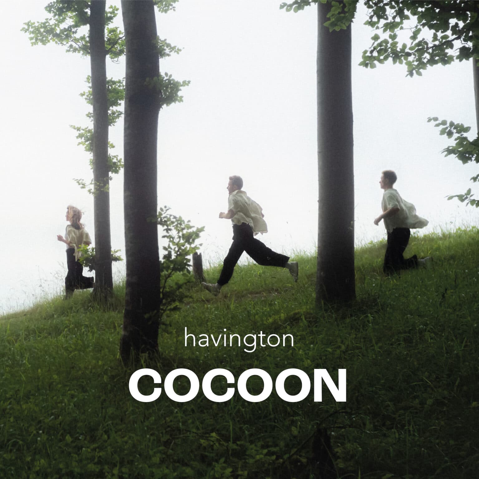 Cocoon - AdP Records